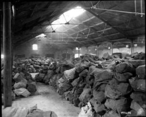 The 6888th Central Postal Directory Battalion update - The George C ...